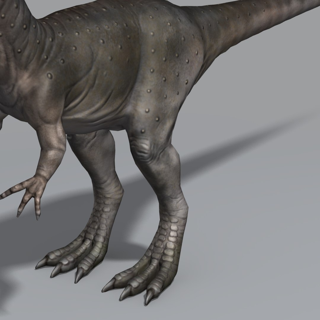 Dinosaur Allosaurus 3d Model