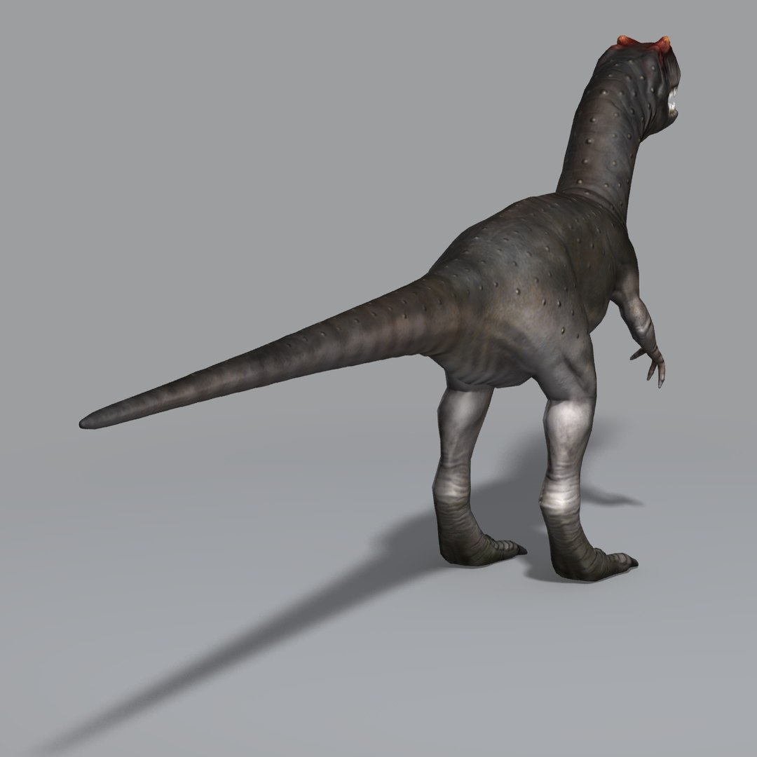 Dinosaur Allosaurus 3d Model