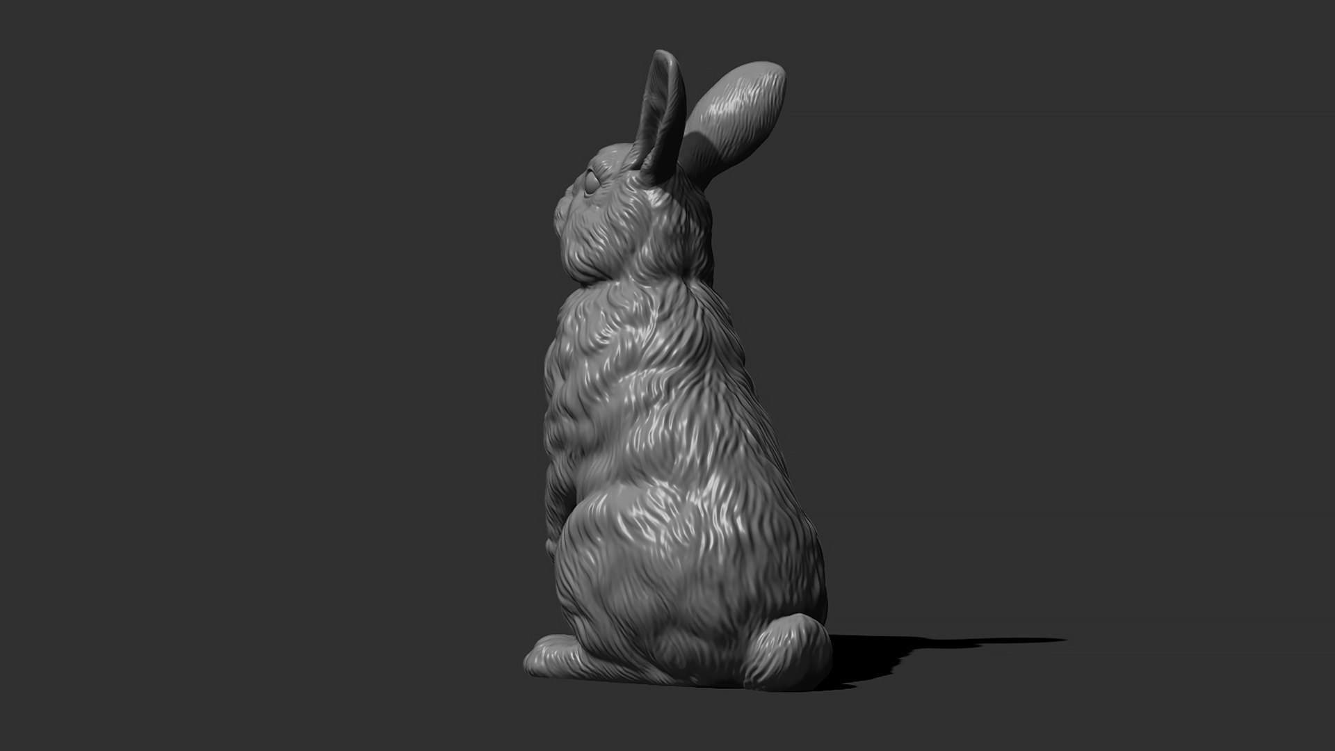 Rabbit Bunny 3D Model - TurboSquid 1956577