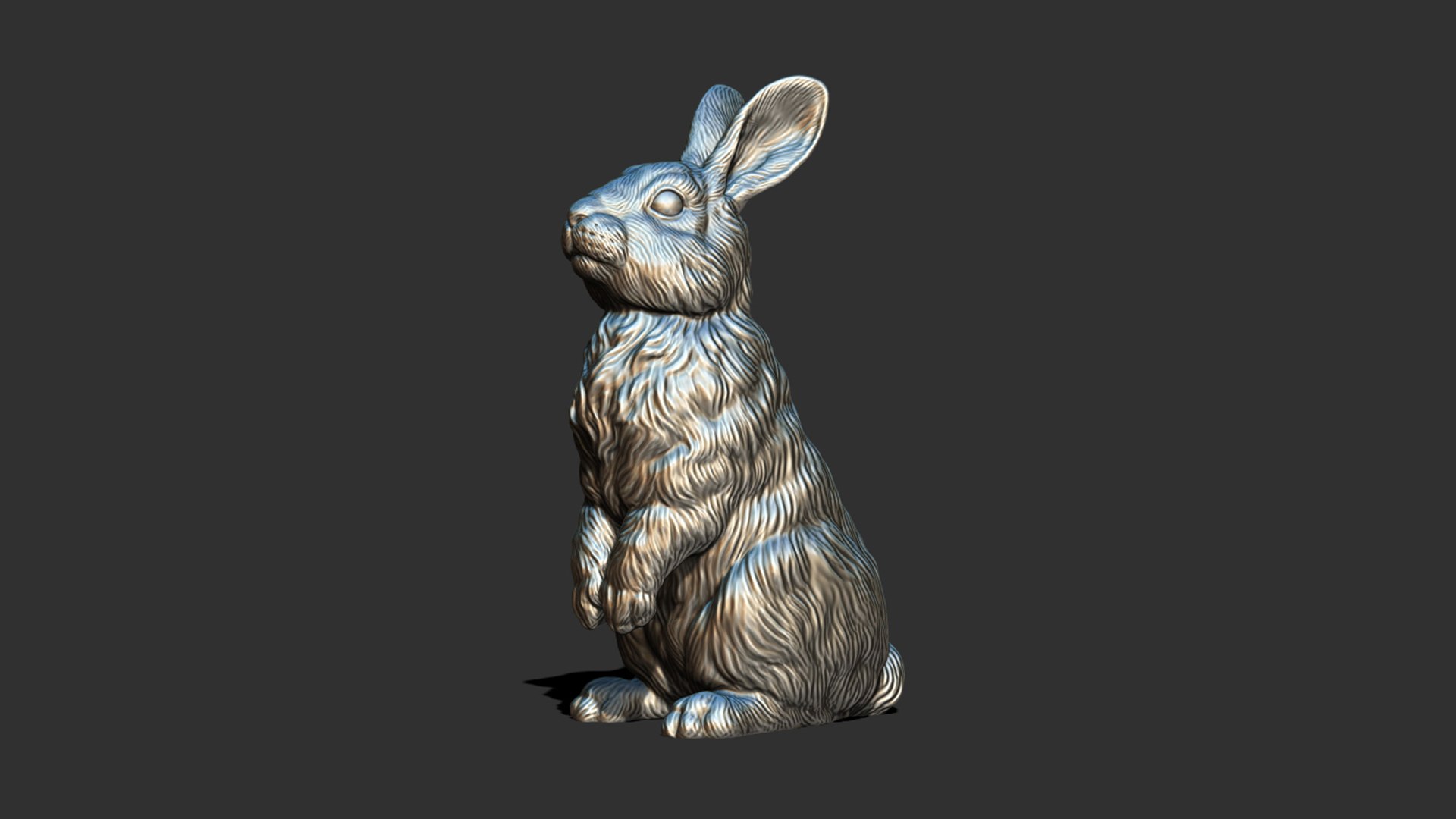 Rabbit Bunny 3D Model - TurboSquid 1956577