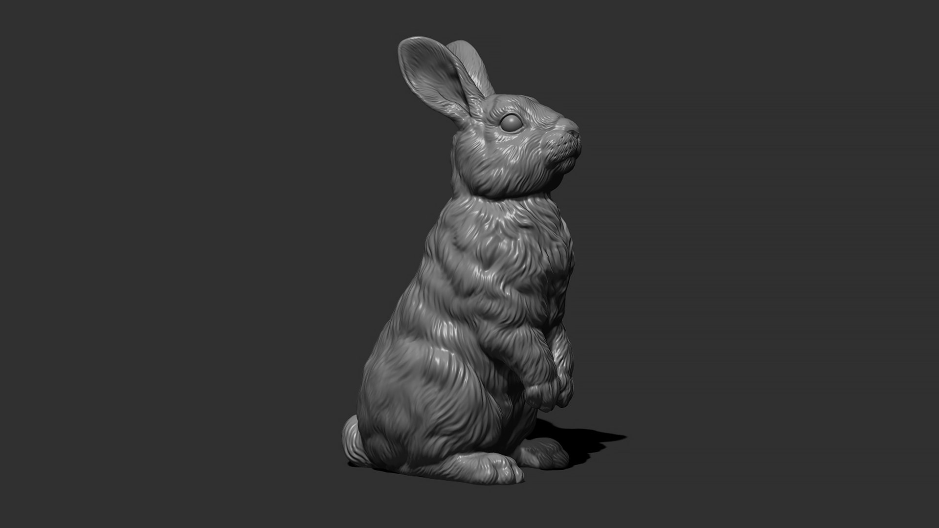 Rabbit Bunny 3D Model - TurboSquid 1956577