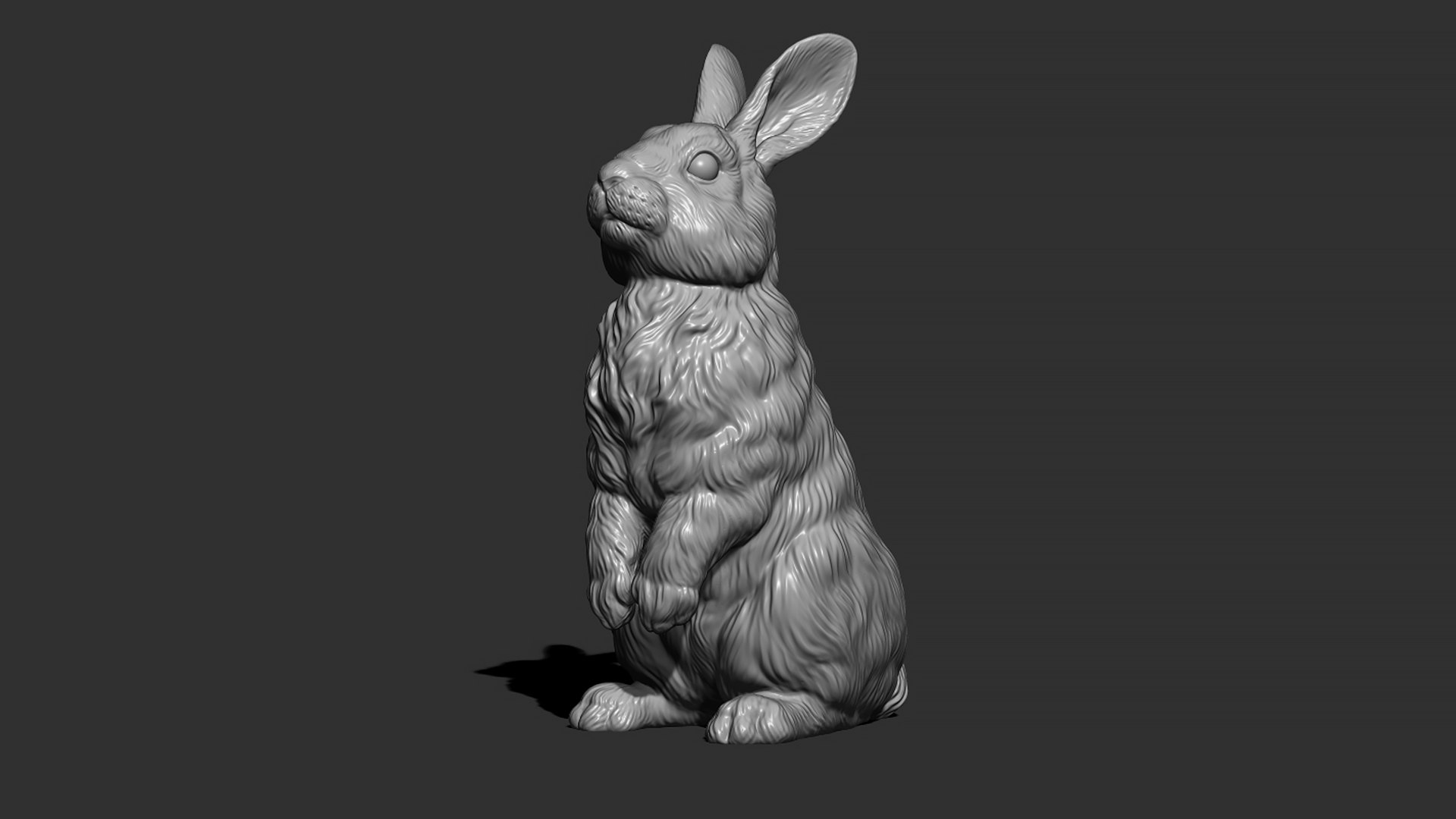 Rabbit Bunny 3D Model - TurboSquid 1956577