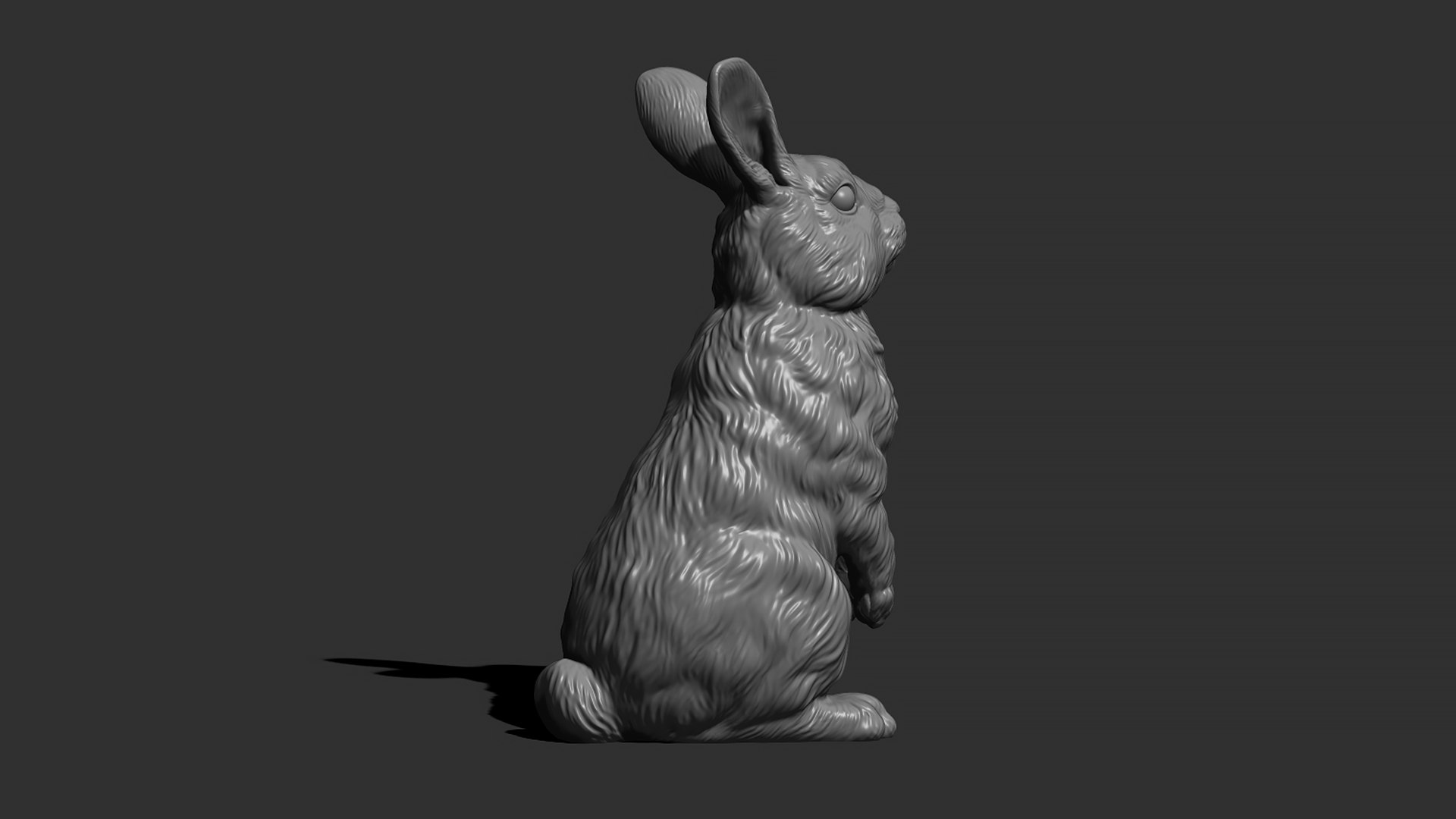 Rabbit Bunny 3D Model - TurboSquid 1956577