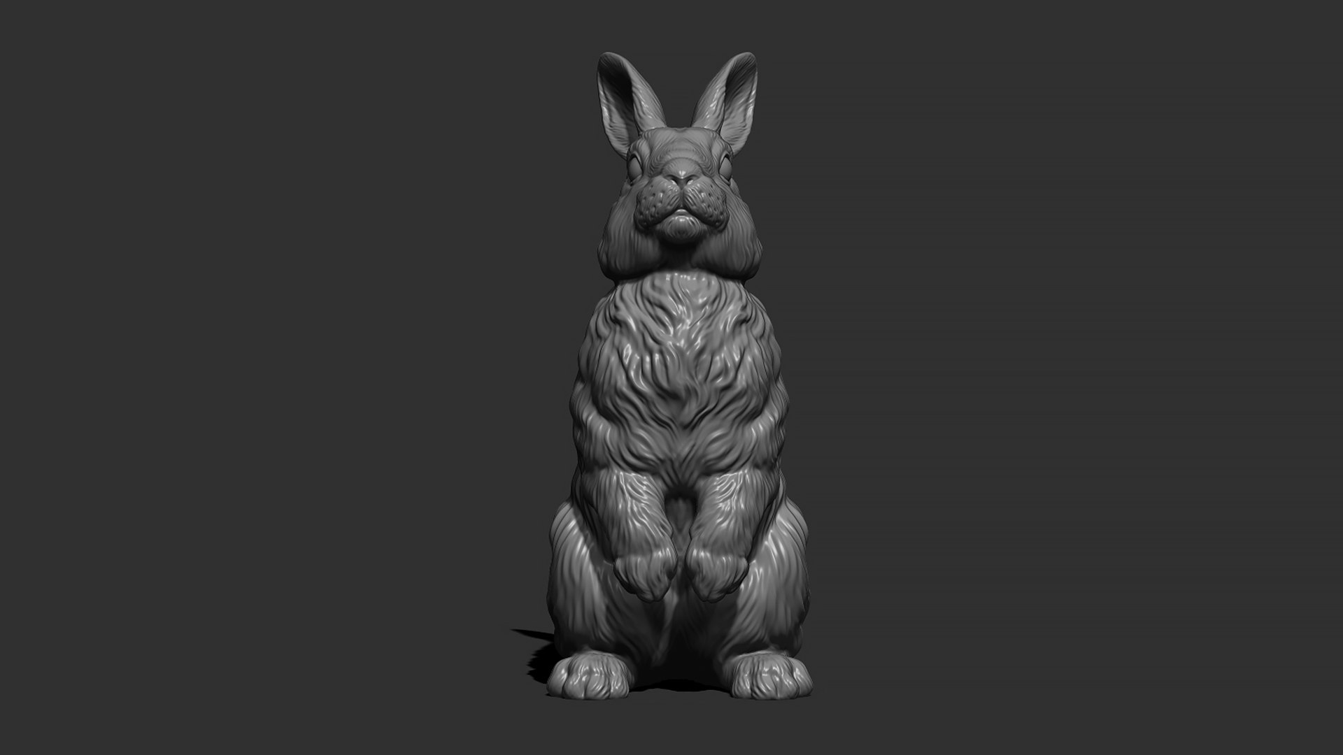 Rabbit Bunny 3D Model - TurboSquid 1956577