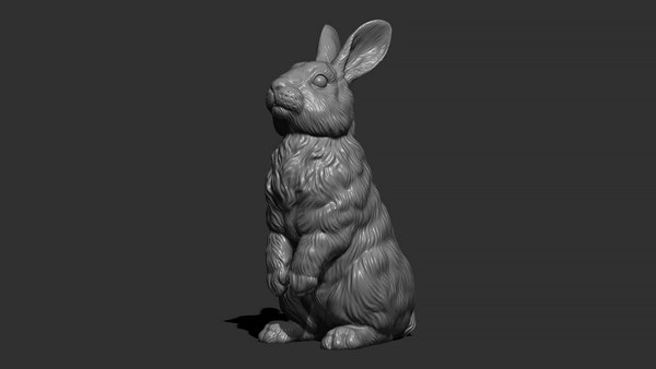 Rabbit bunny 3D model - TurboSquid 1956577