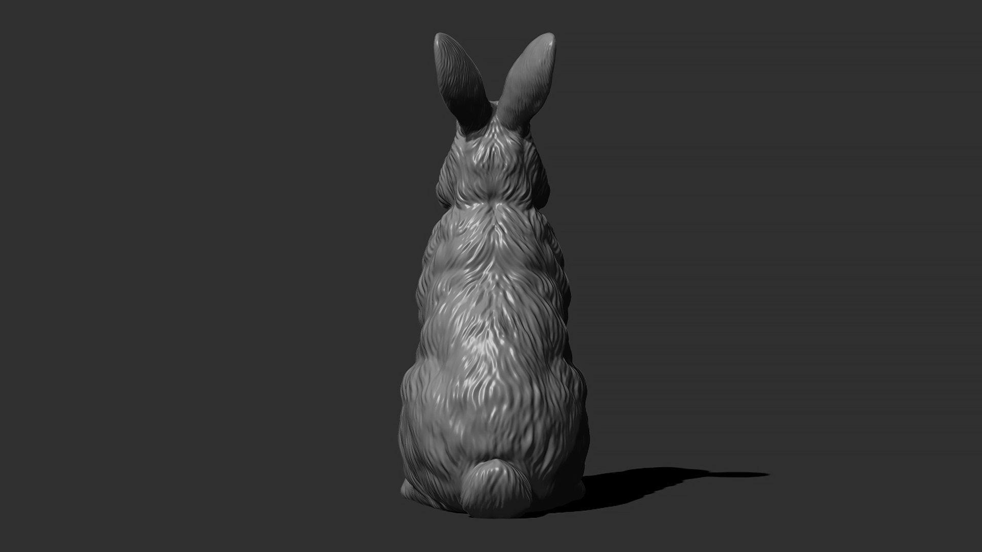 Rabbit Bunny 3D Model - TurboSquid 1956577