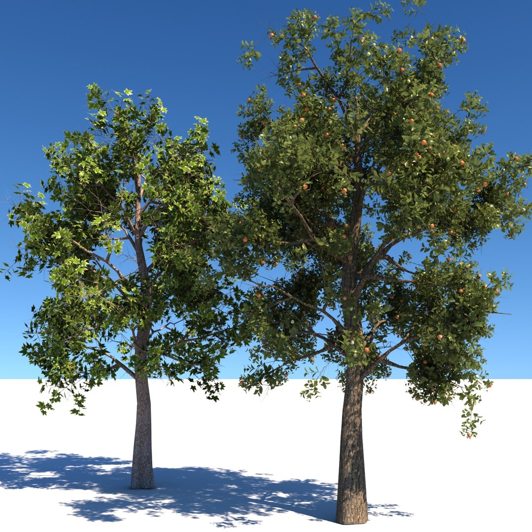3D generic trees - TurboSquid 1378531