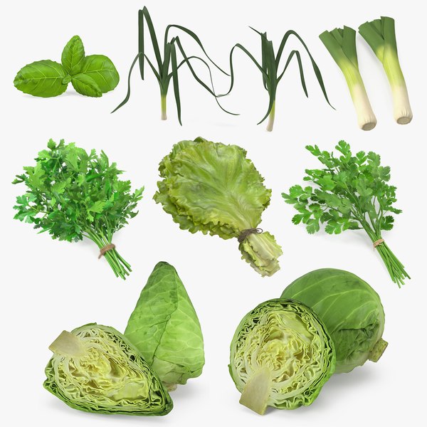 Lettuce 3D Models for Download | TurboSquid