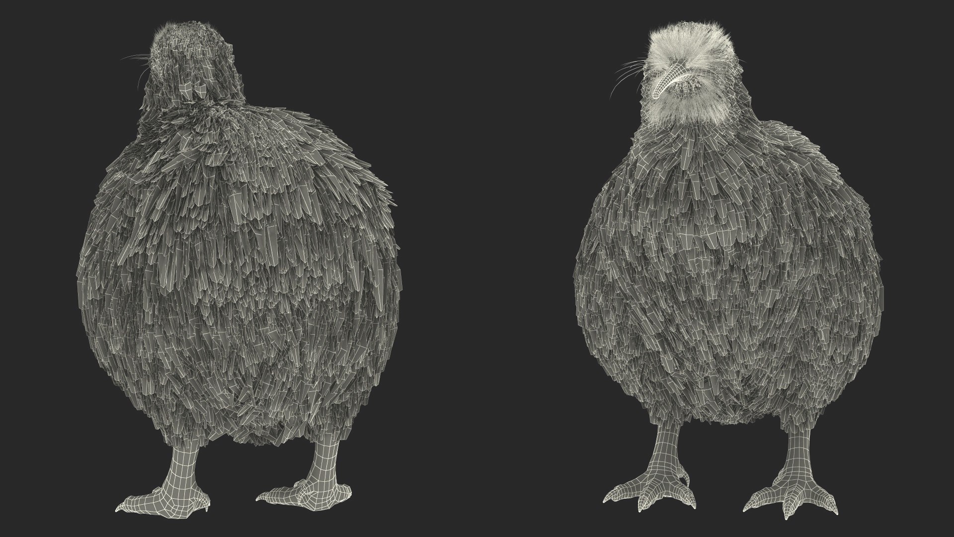 Kiwi Bird Fur Rigged 3D Model - TurboSquid 2104694