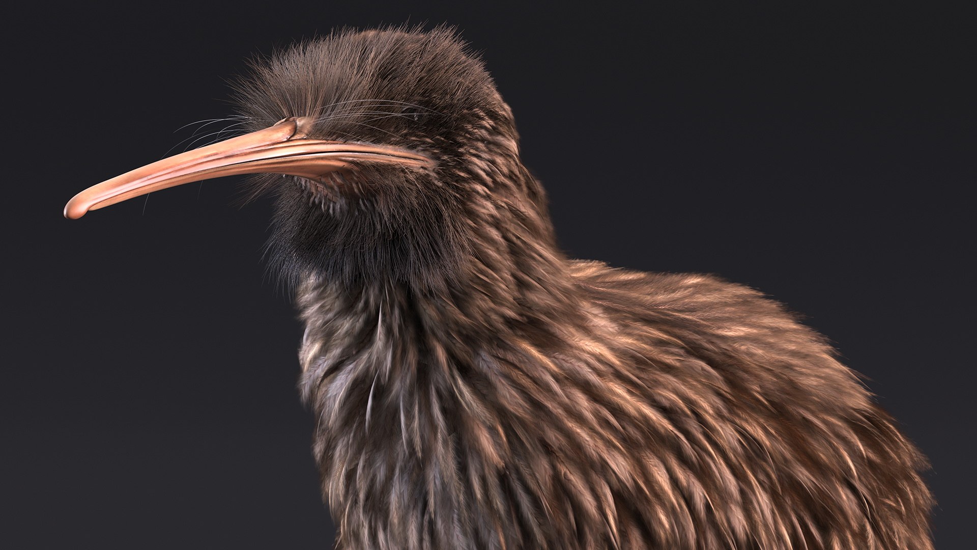 Kiwi Bird Fur Rigged 3D Model - TurboSquid 2104694