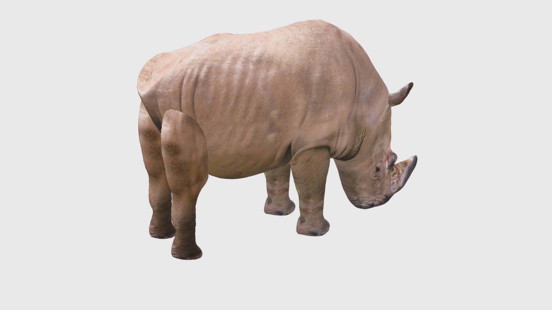 Low Poly Rhino Rigged With Realistic Texture Model - TurboSquid 1876165