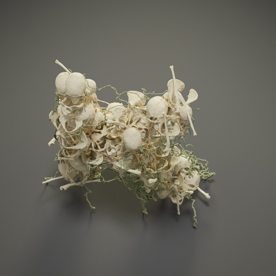 3D Letter K Bones Skeleton - TurboSquid 1546149