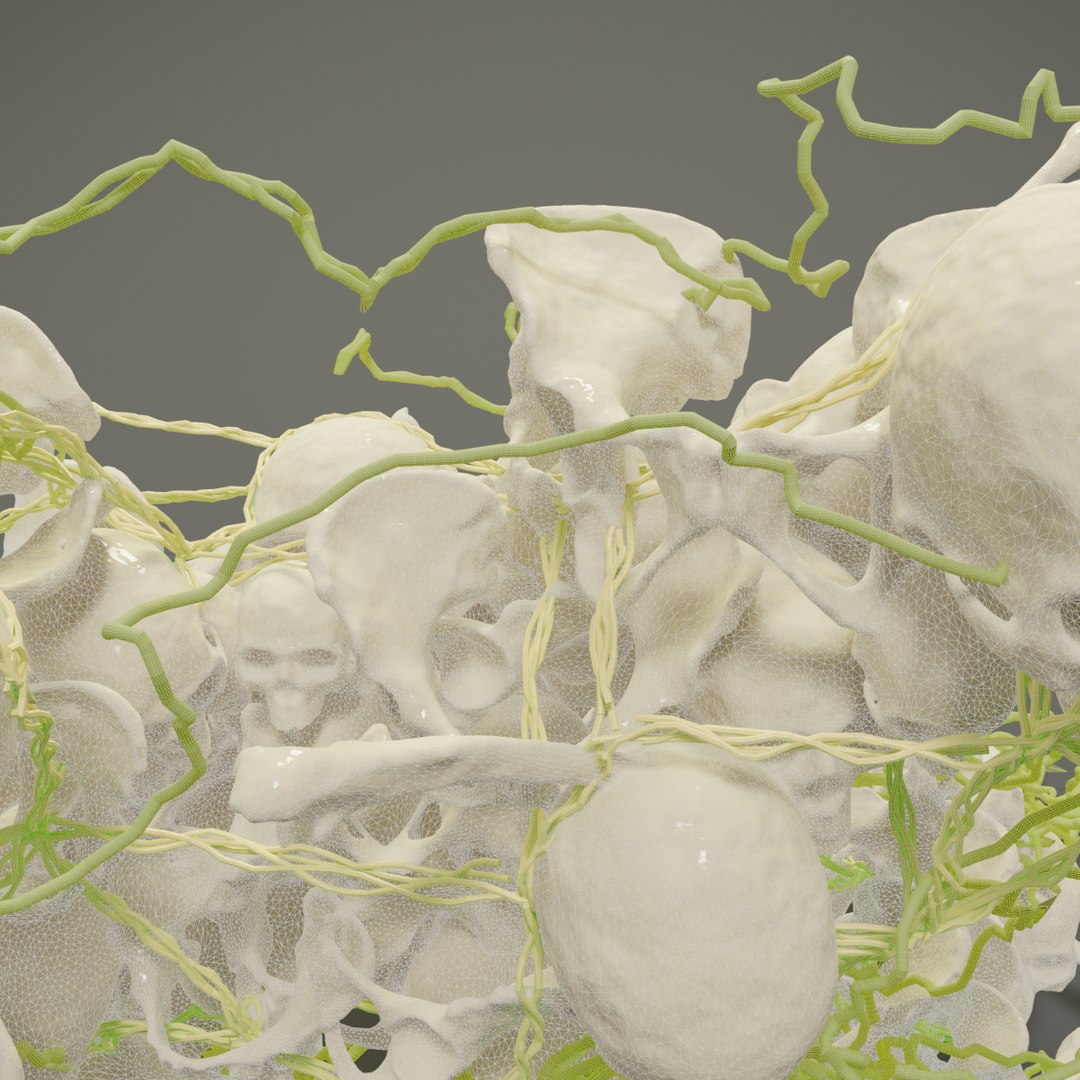 3D Letter K Bones Skeleton - TurboSquid 1546149