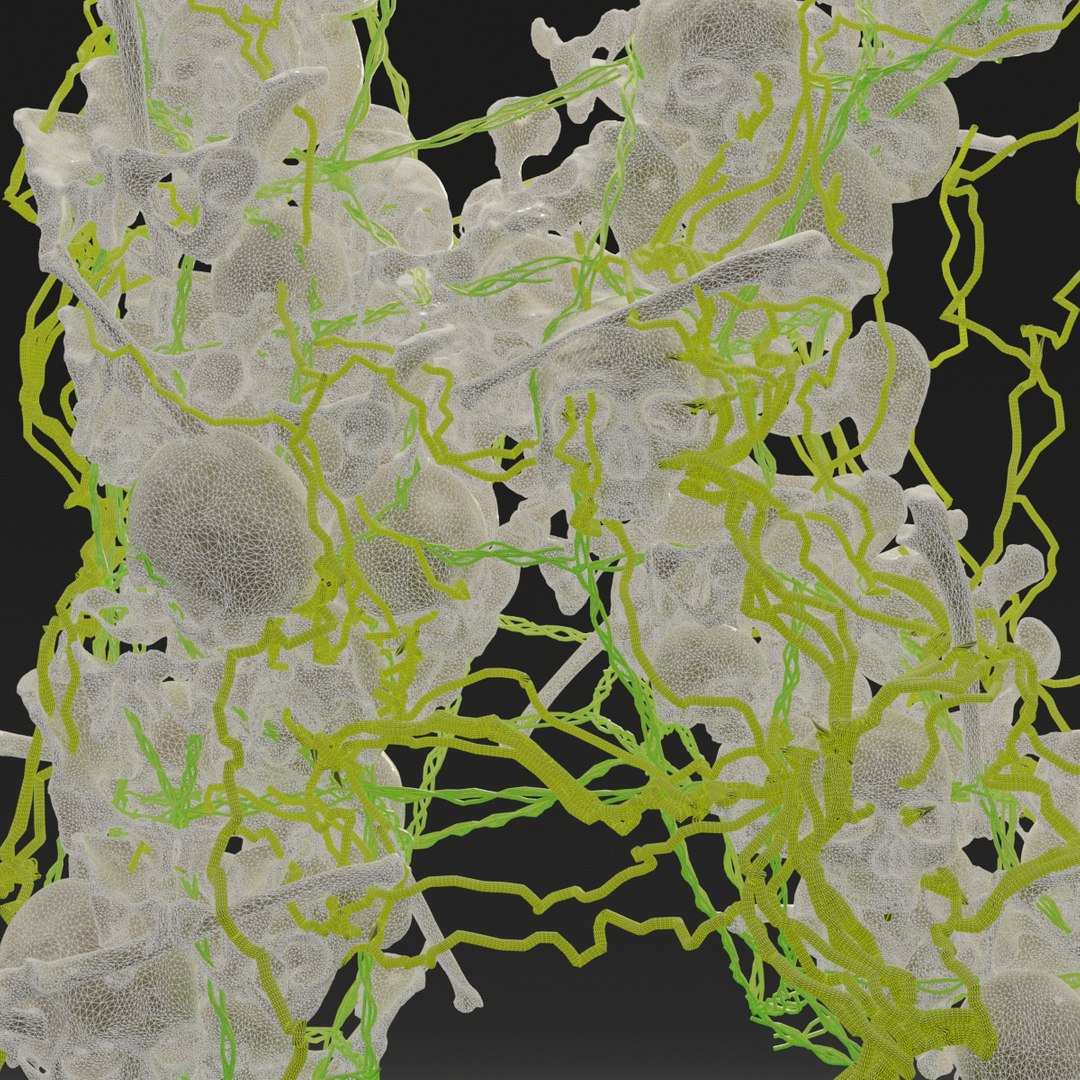 3D Letter K Bones Skeleton - TurboSquid 1546149