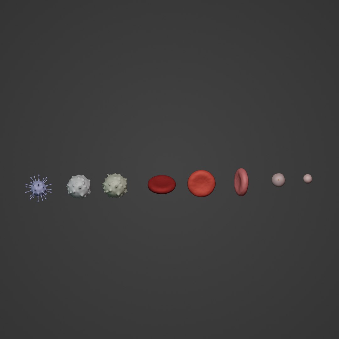 Blood Flow Animation 3D Model - TurboSquid 1927321