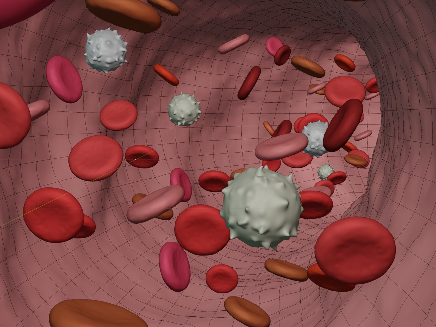 Blood Flow Animation 3D model - TurboSquid 1927321