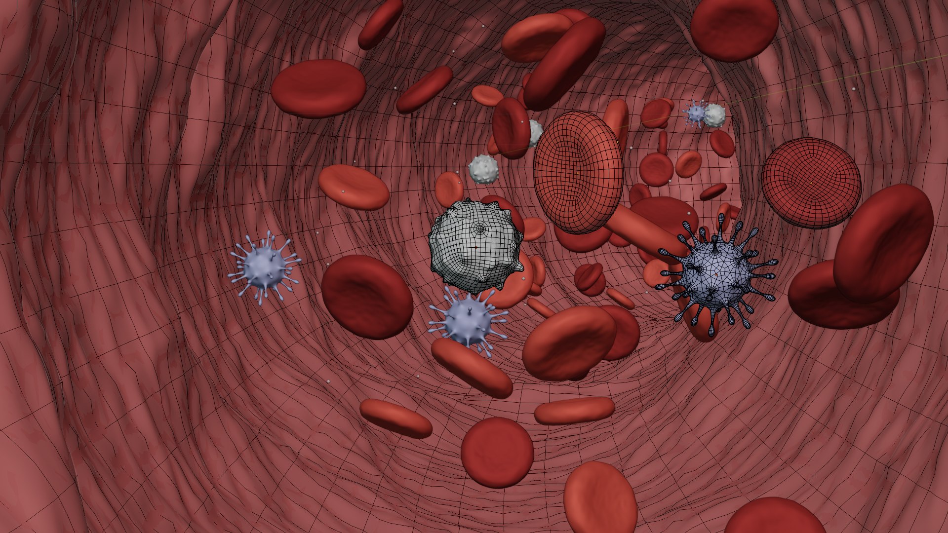 Blood Flow Animation 3D Model - TurboSquid 1927321
