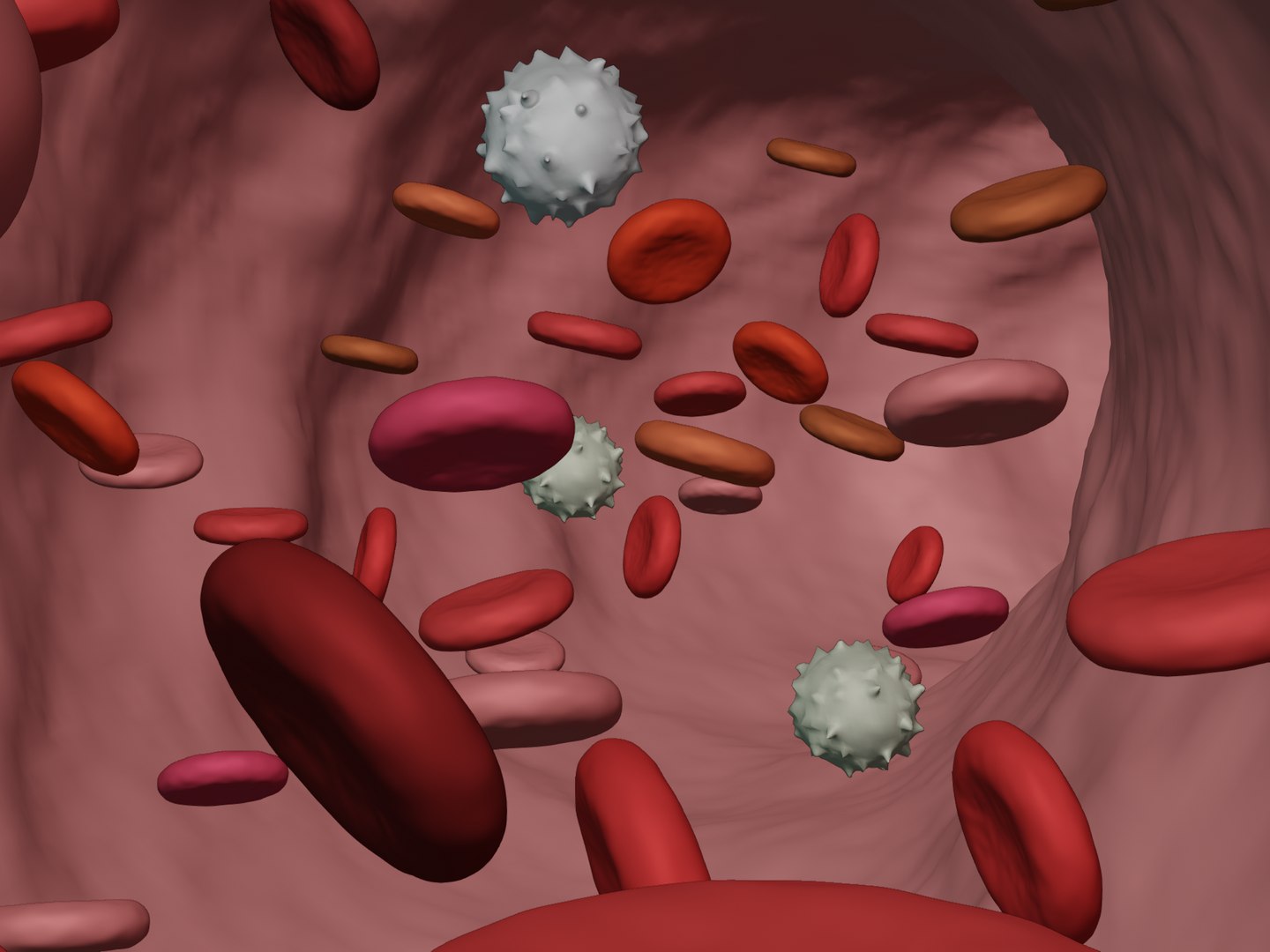 Blood Flow Animation 3D model - TurboSquid 1927321