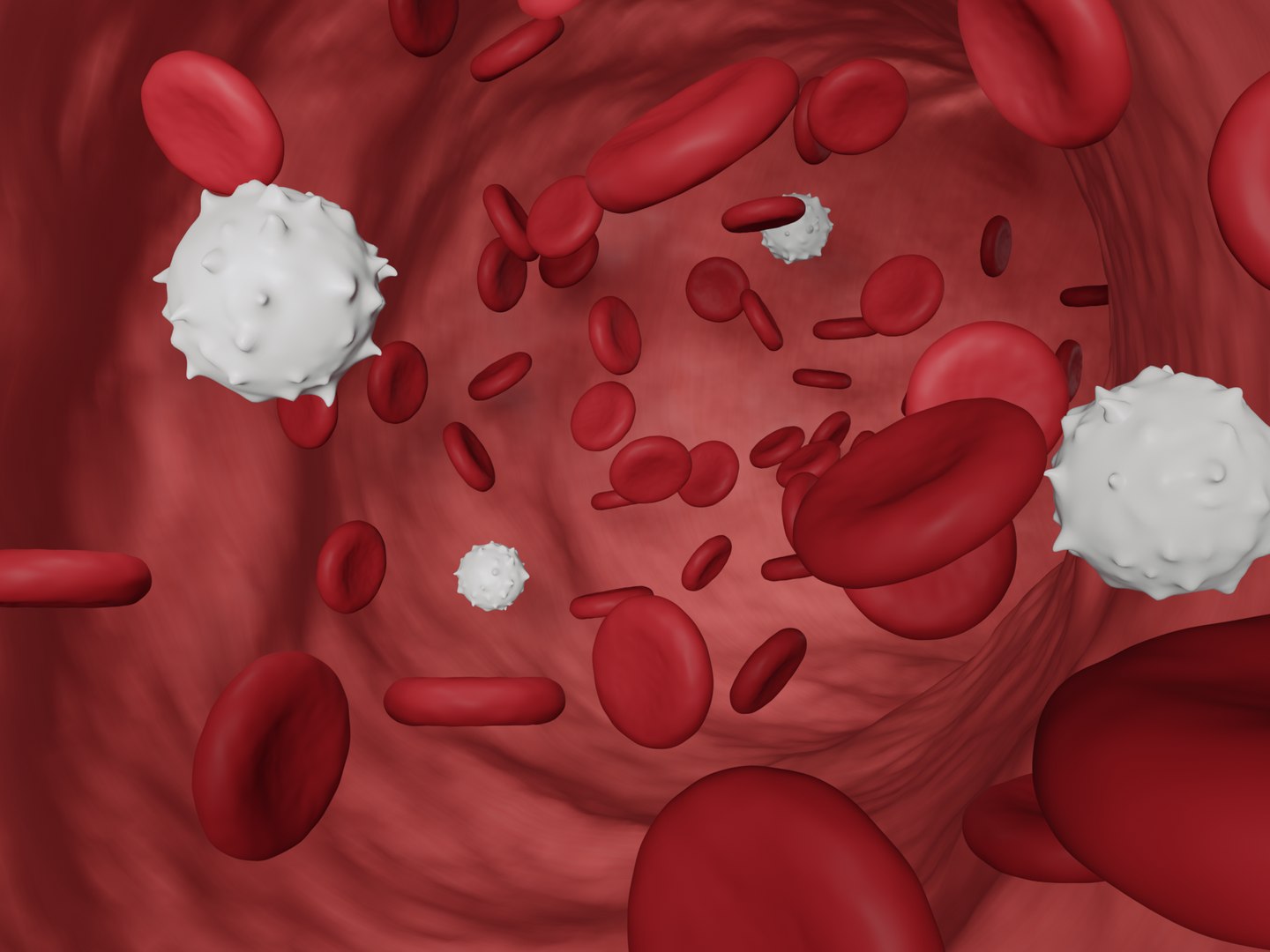 Blood Flow Animation 3D model - TurboSquid 1927321