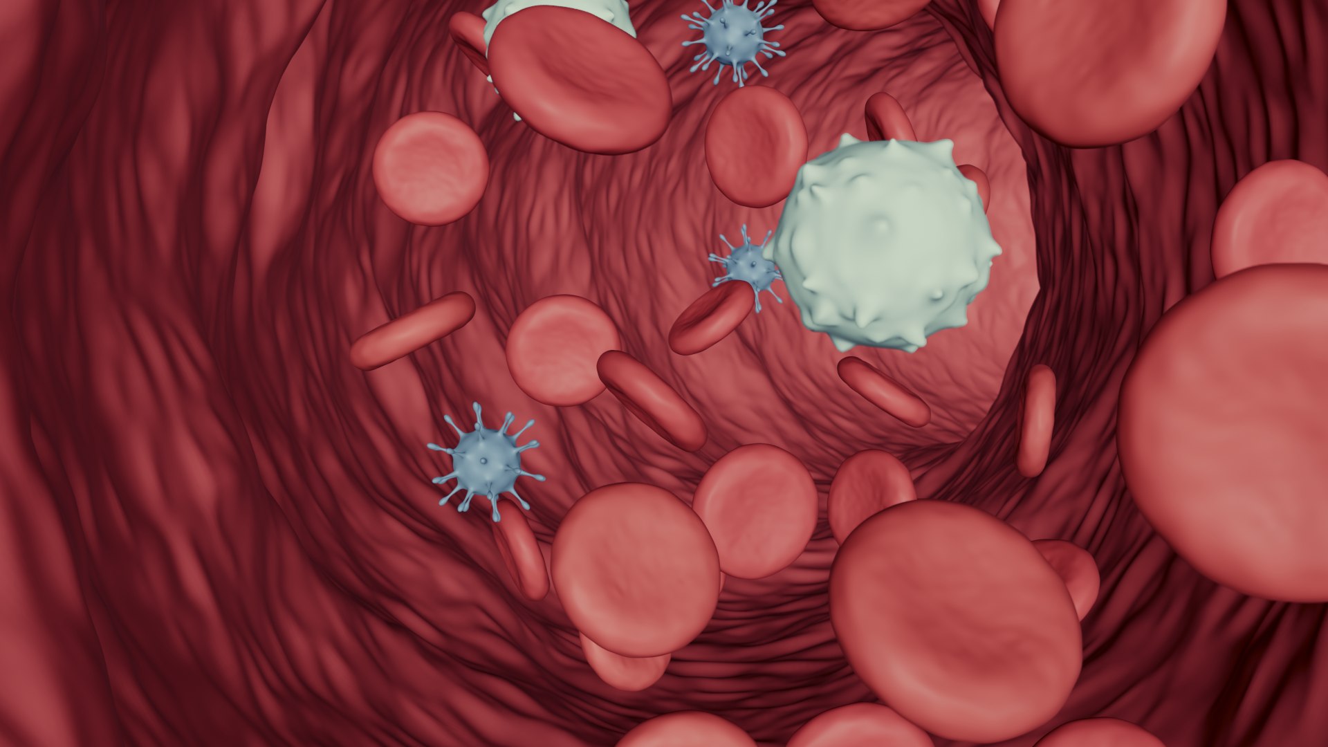 Blood Flow Animation 3D Model - TurboSquid 1927321