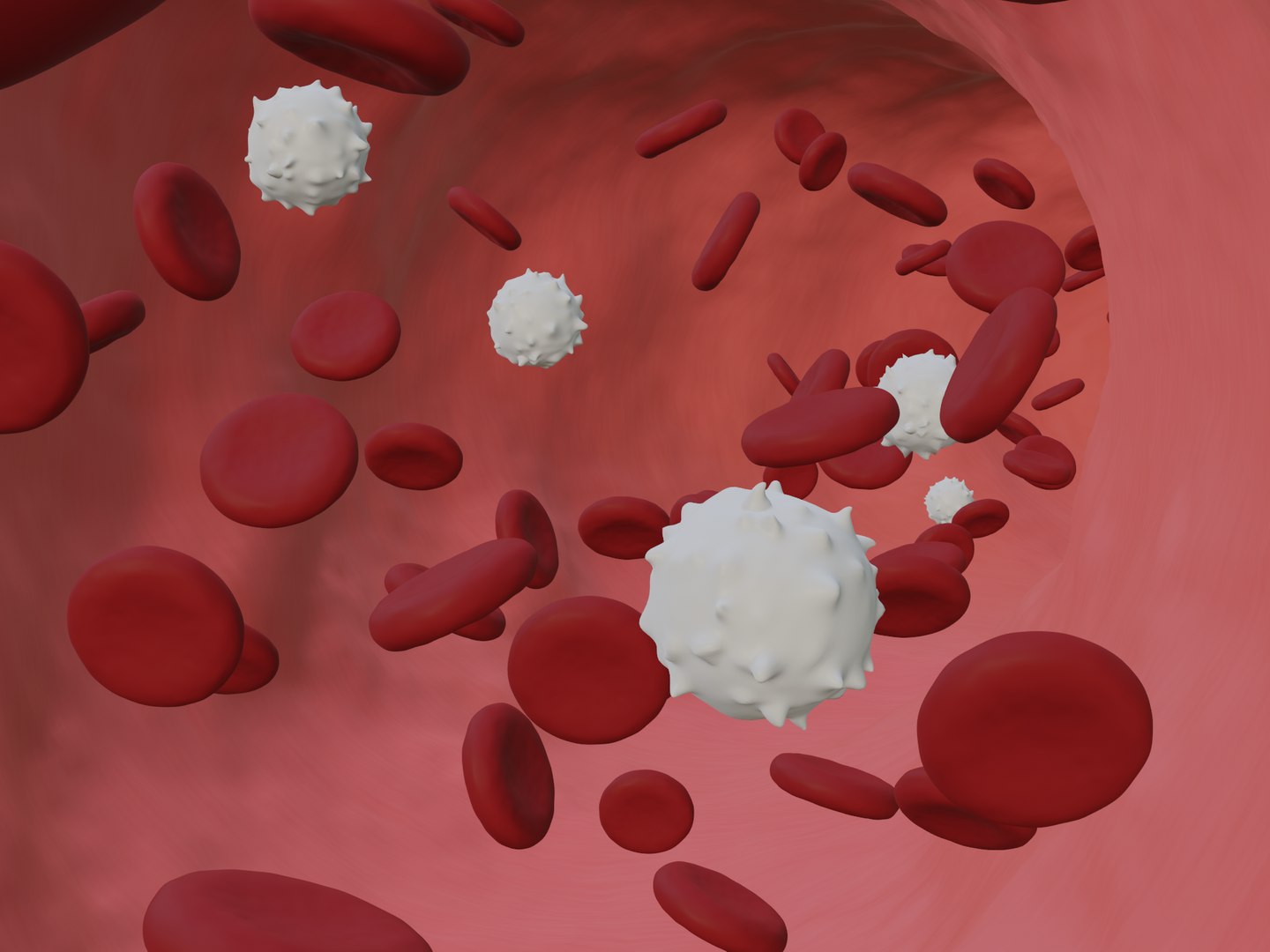 Blood Flow Animation 3D model - TurboSquid 1927321