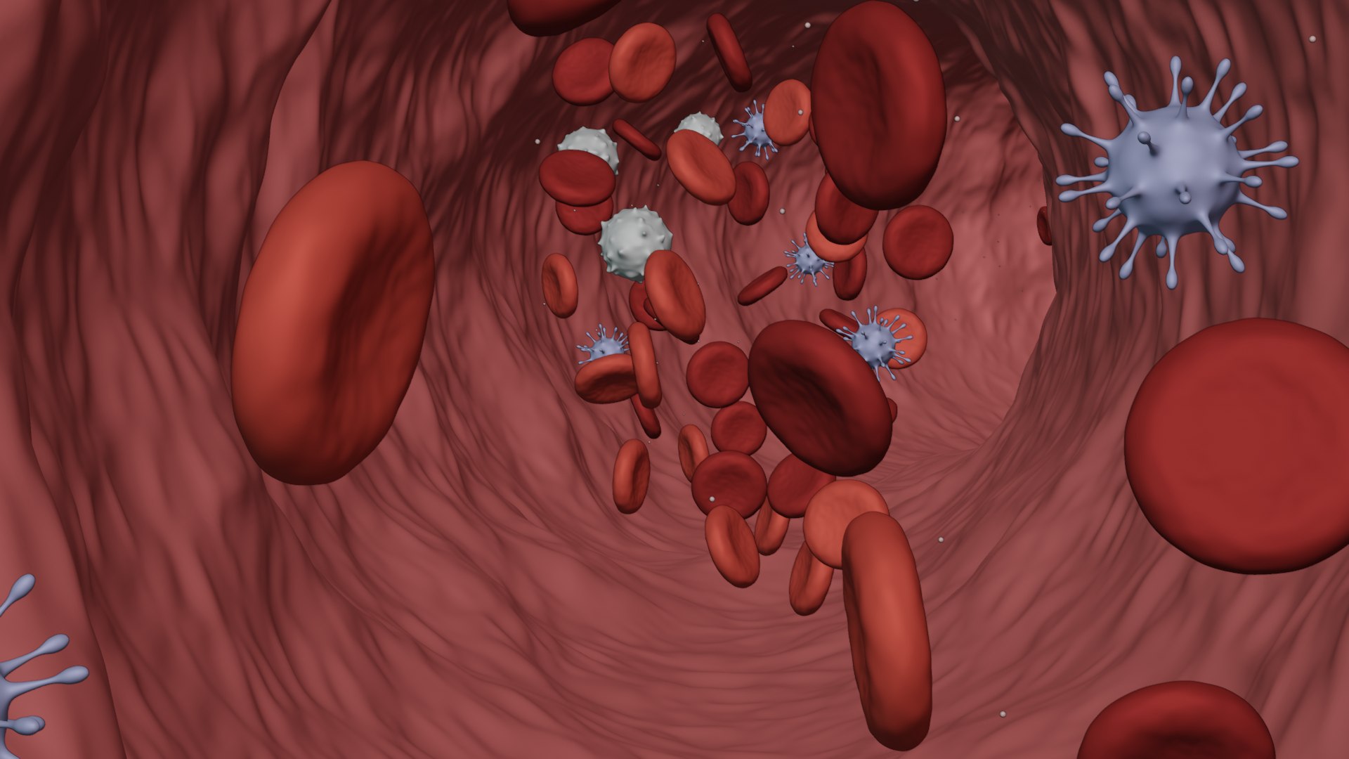 Blood Flow Animation 3D Model - TurboSquid 1927321