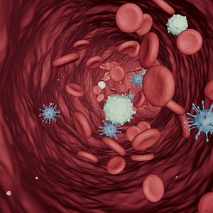 Capillary Diffusion 3d Obj