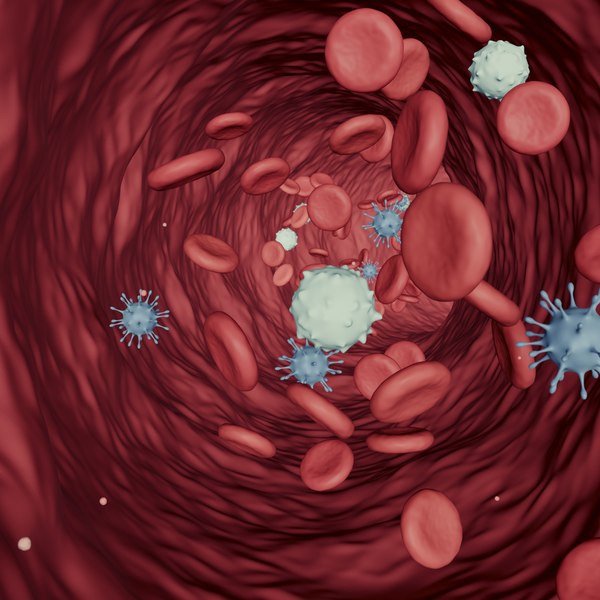 Animated Blood 3D Models for Download | TurboSquid