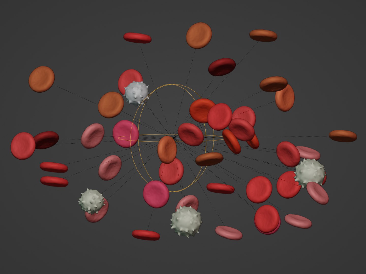 Blood Flow Animation 3D model - TurboSquid 1927321