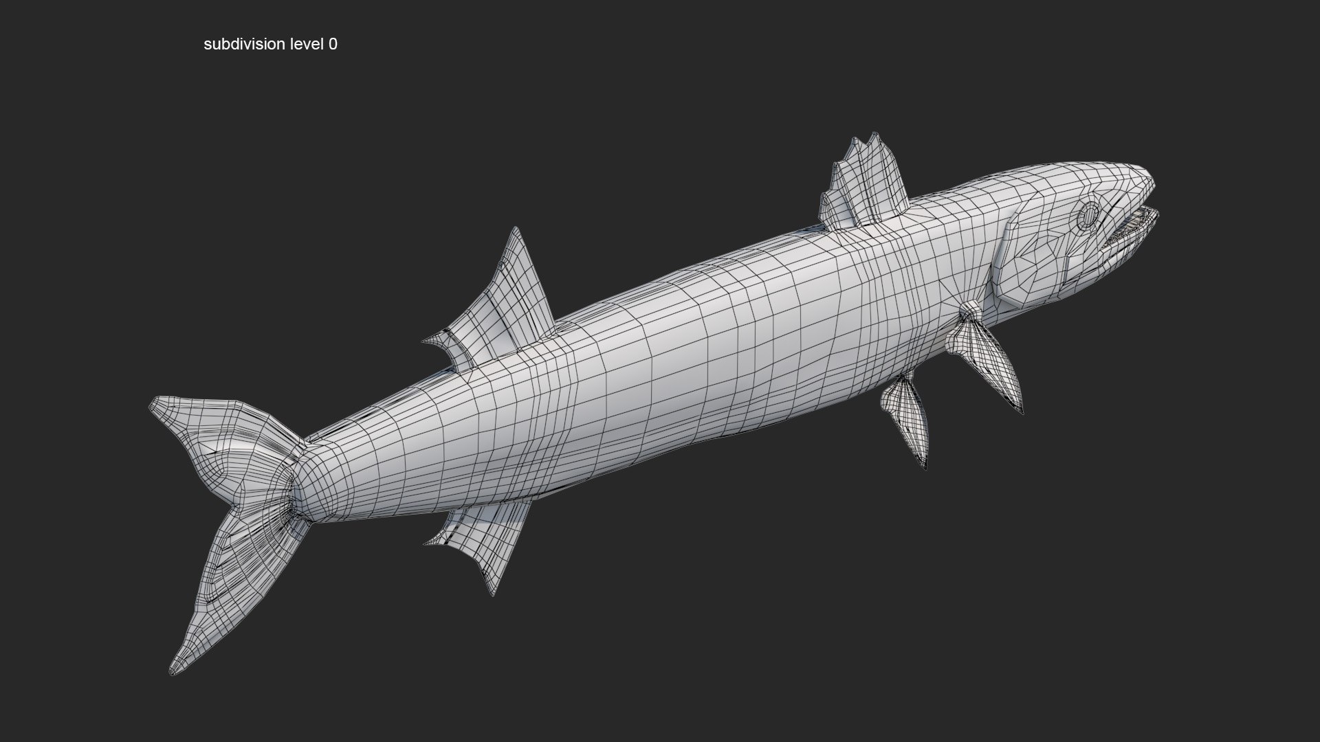 3d barracuda fish ray-finned
