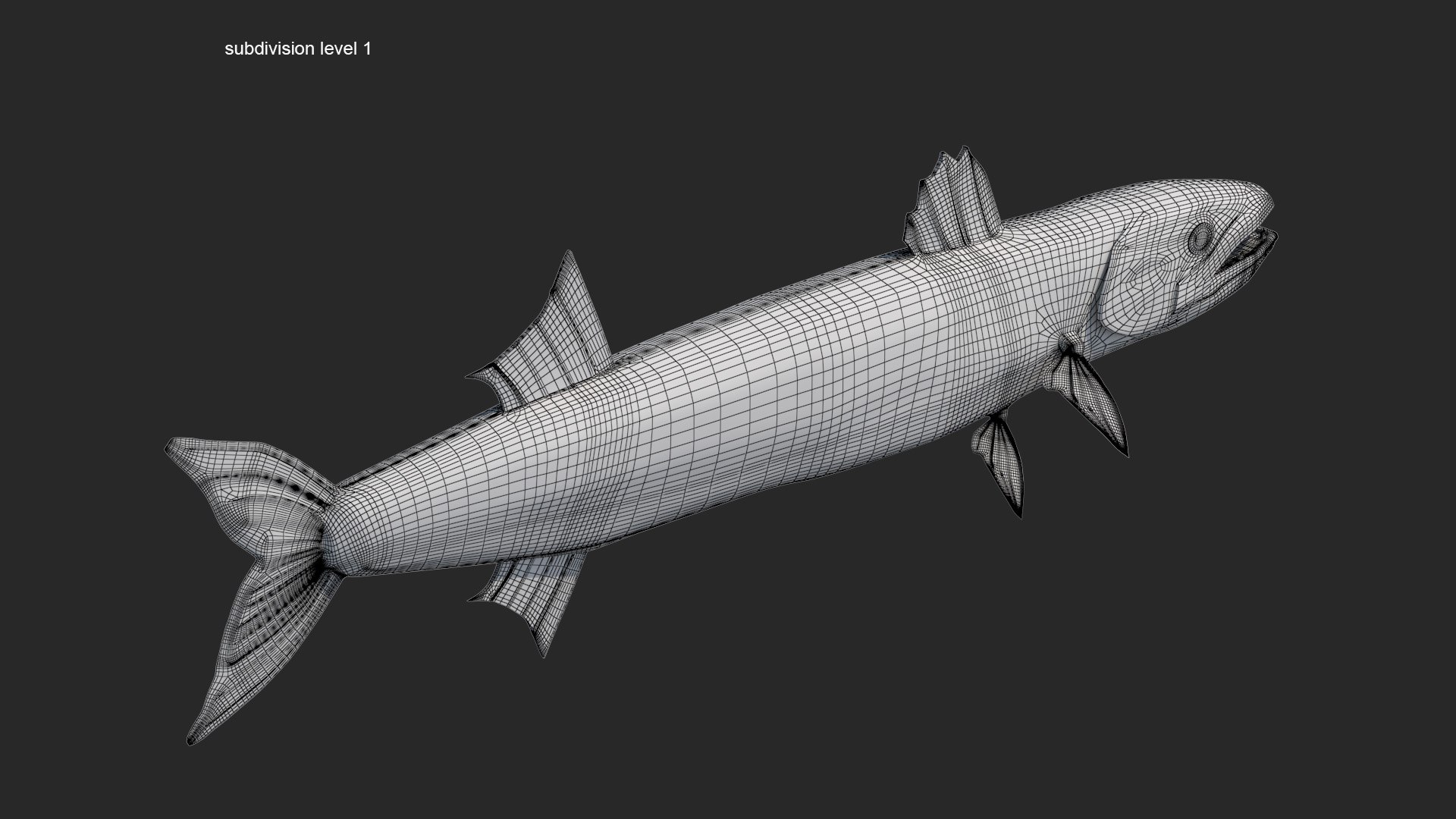 3d barracuda fish ray-finned