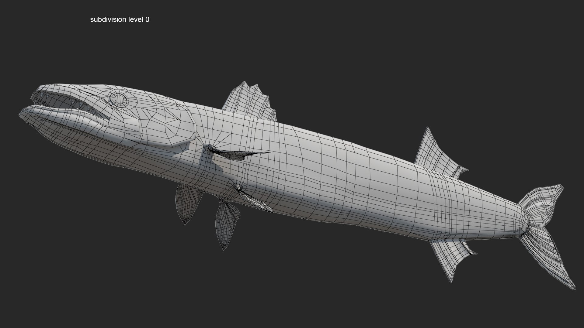 3d barracuda fish ray-finned