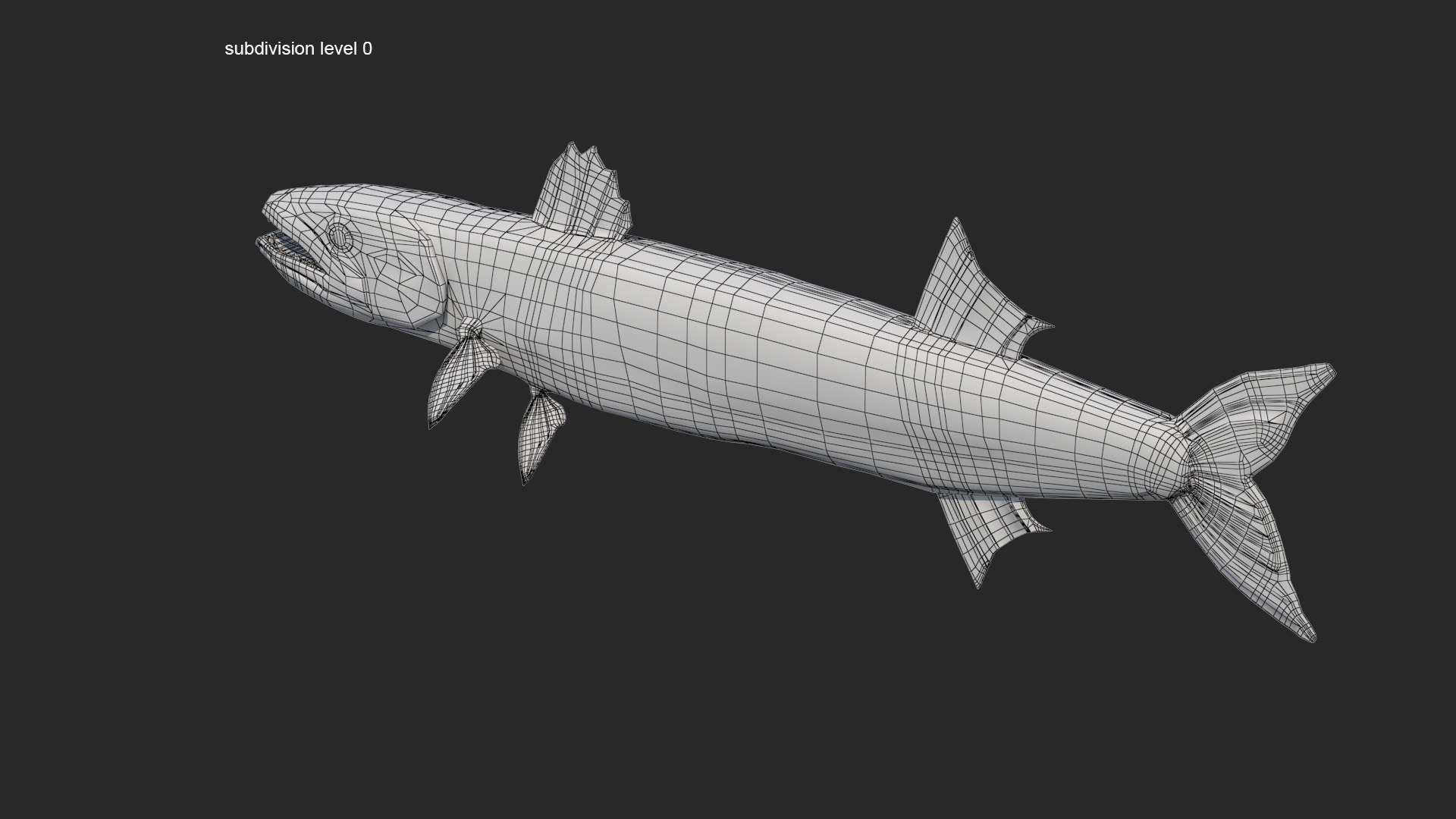 3d barracuda fish ray-finned