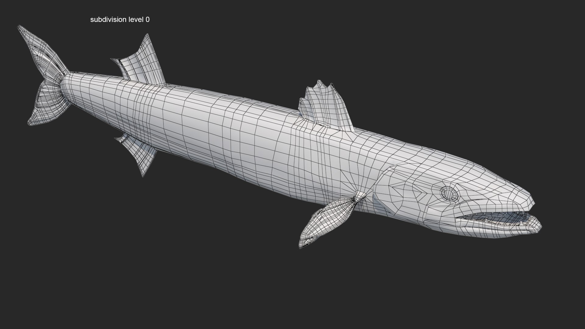 3d barracuda fish ray-finned