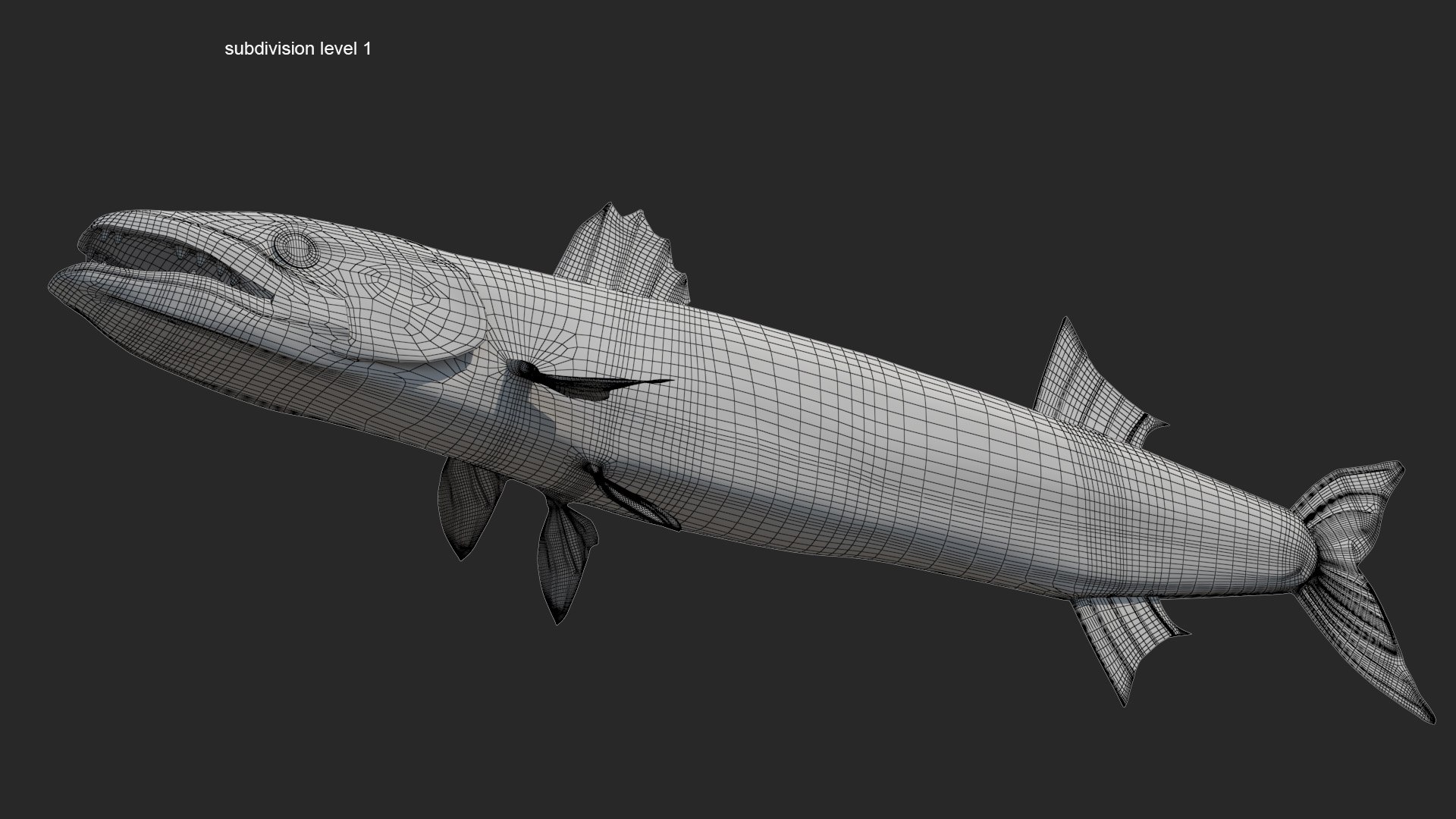 3d barracuda fish ray-finned