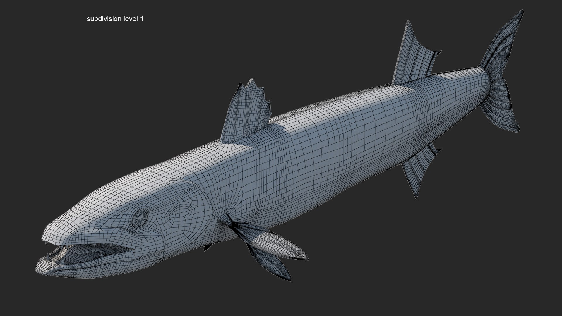 3d barracuda fish ray-finned