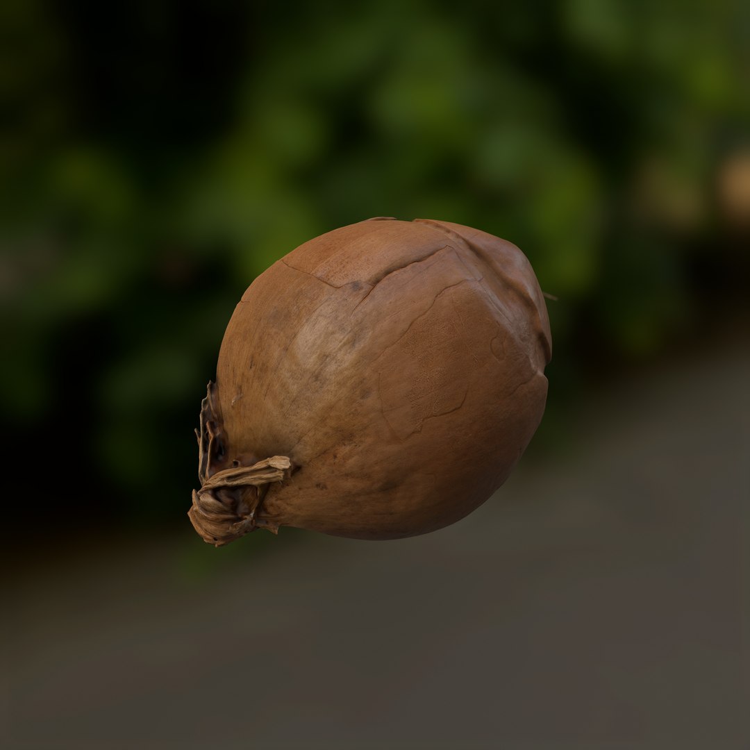 Realistic Onion 3D Model - TurboSquid 1546097