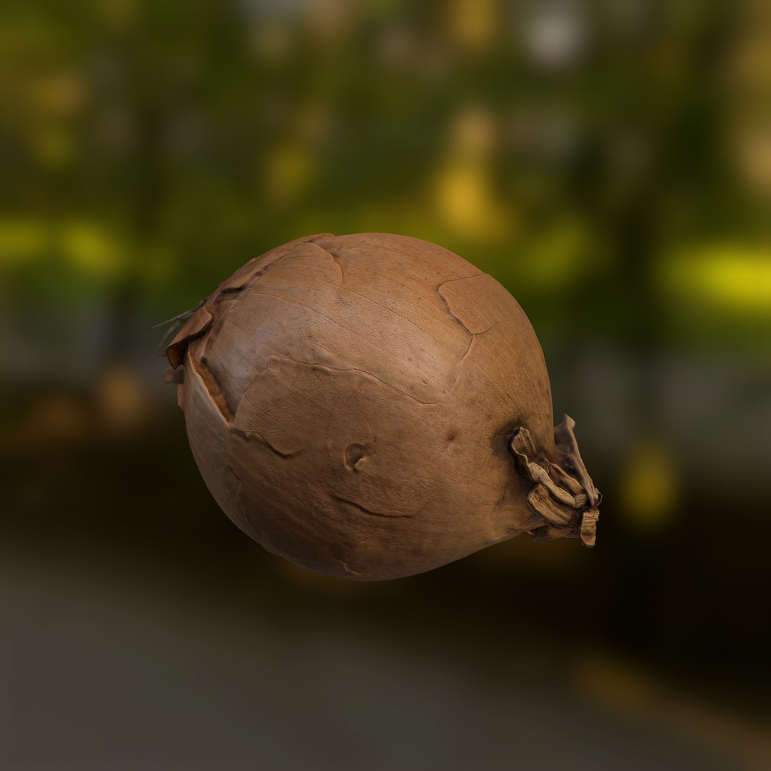 Realistic Onion 3D Model - TurboSquid 1546097