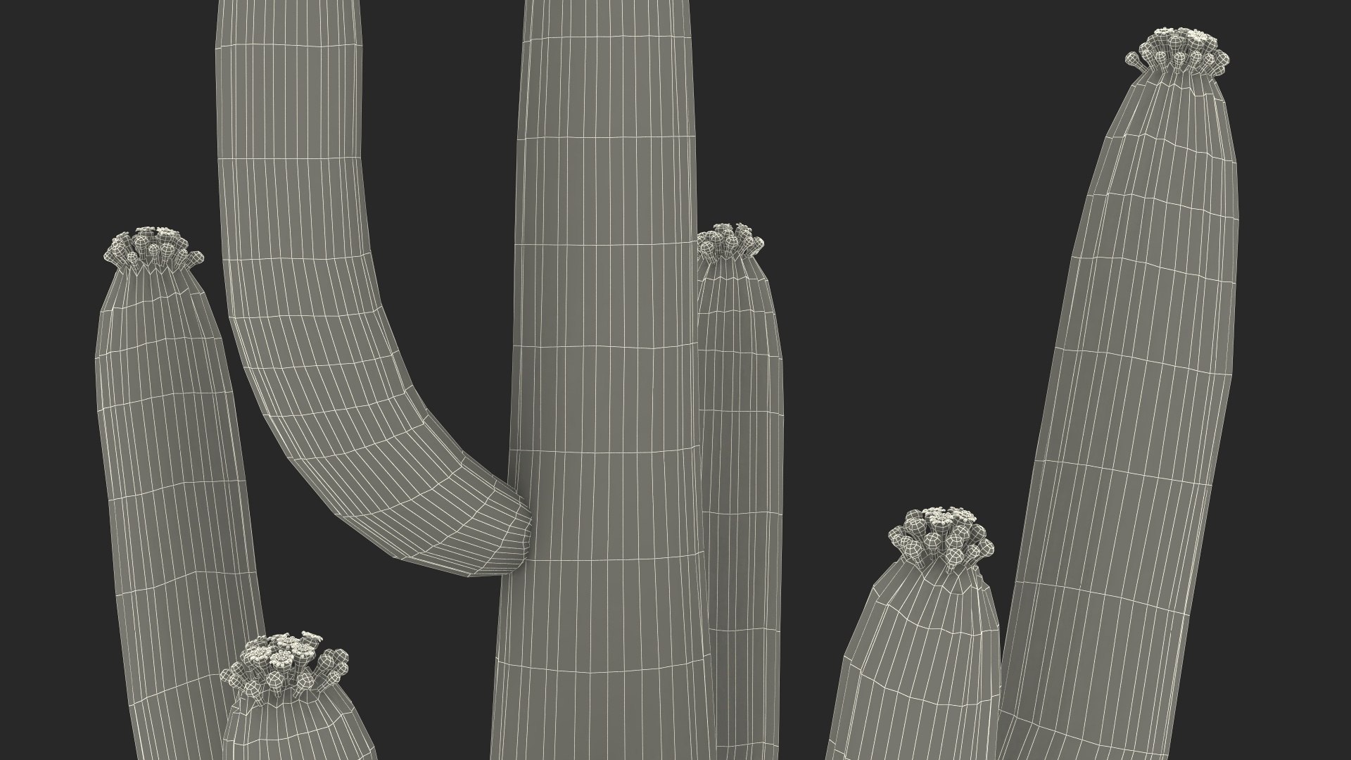 Saguaro Cactus Fur 3D Model - TurboSquid 2168186