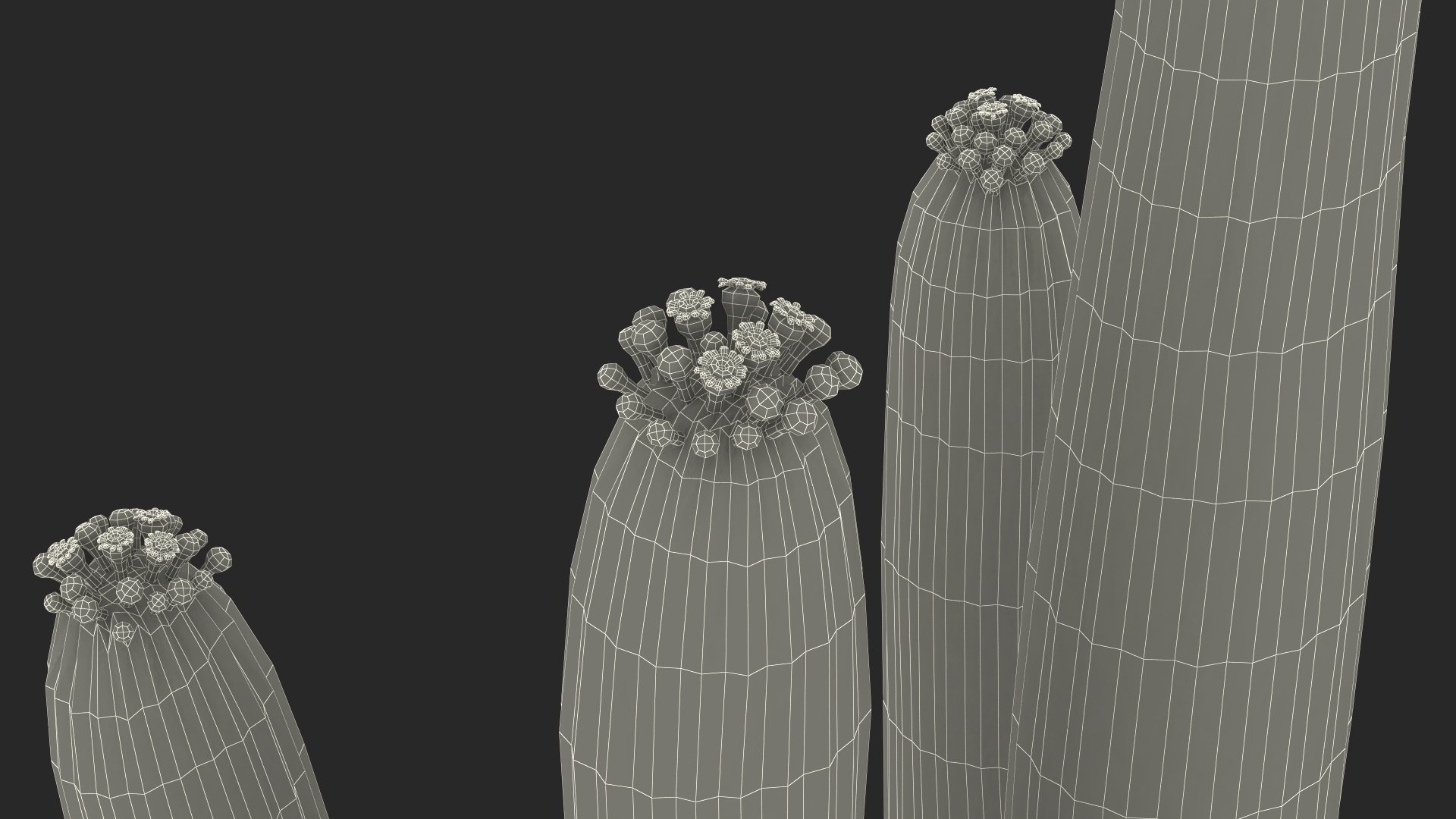 Saguaro Cactus Fur 3D Model - TurboSquid 2168186