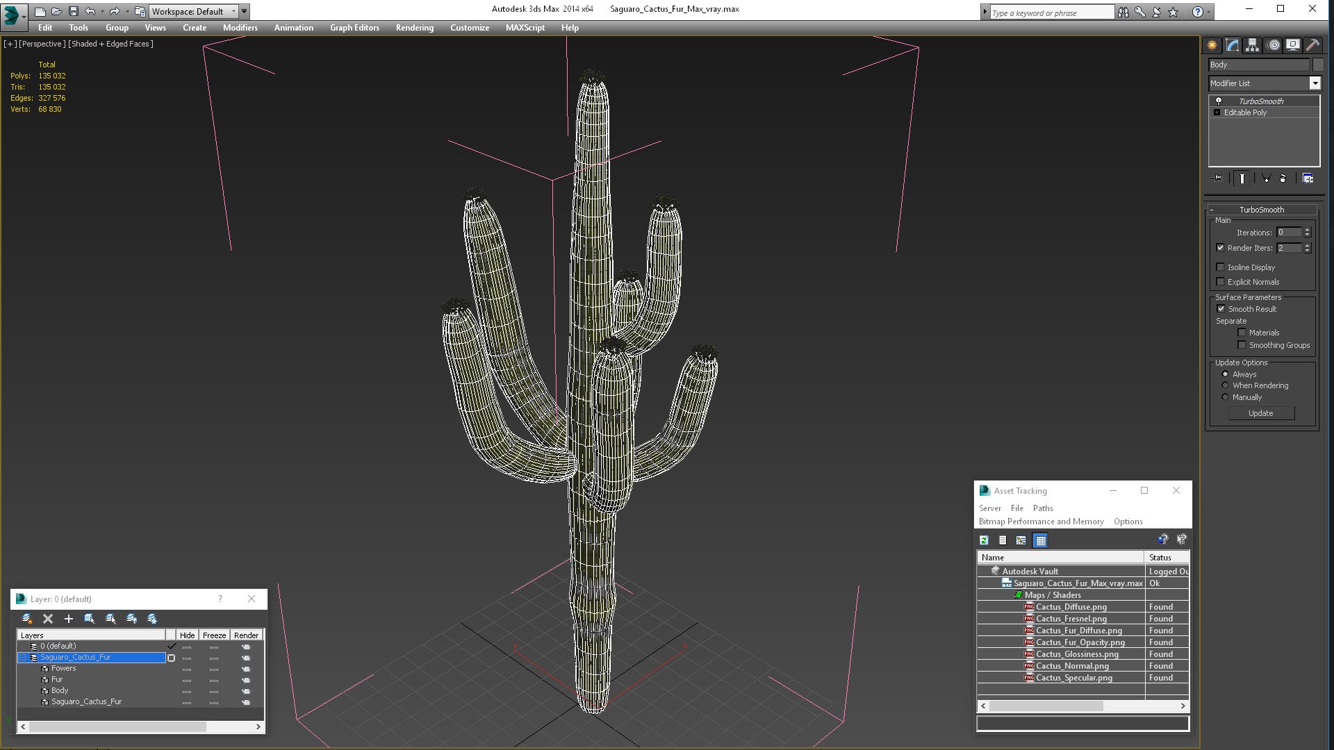 Saguaro Cactus Fur 3D Model - TurboSquid 2168186
