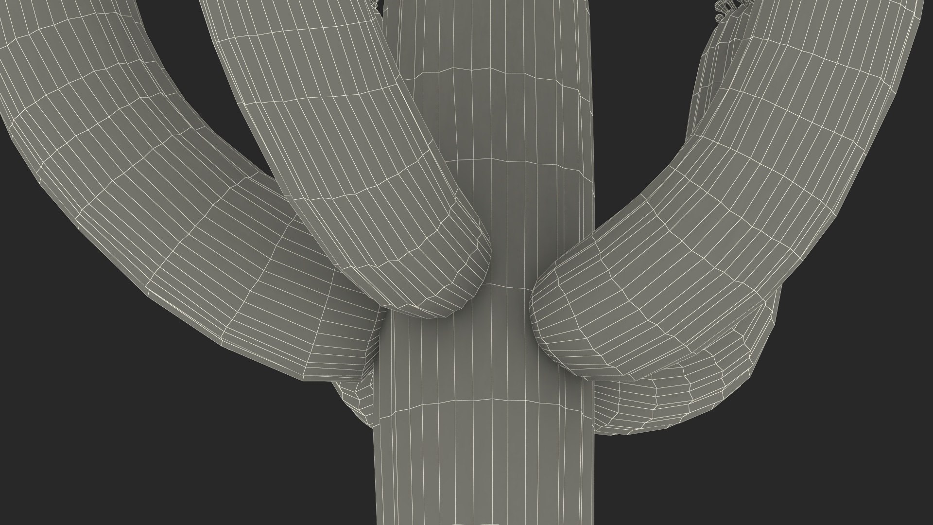 Saguaro Cactus Fur 3D Model - TurboSquid 2168186