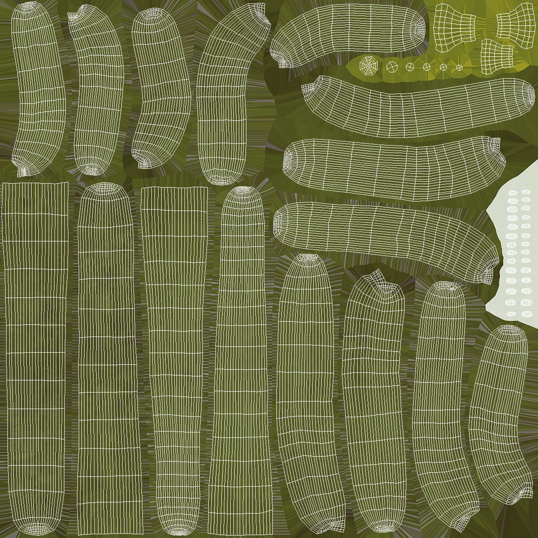 Saguaro Cactus Fur 3D Model - TurboSquid 2168186