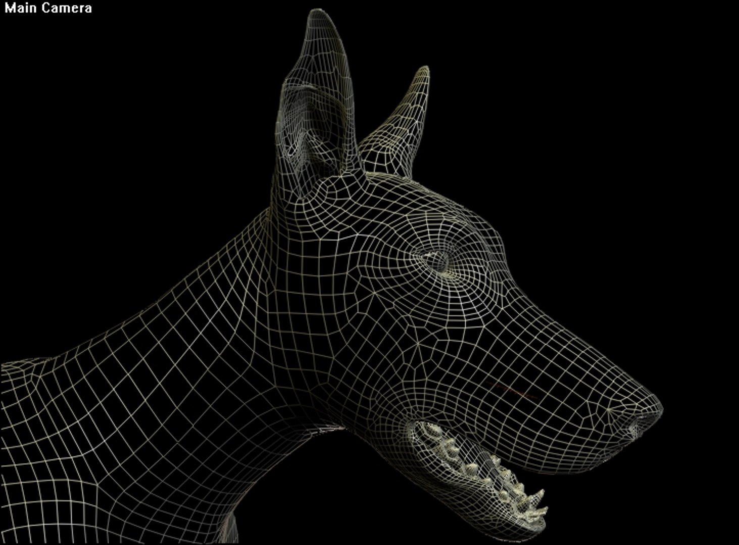 Dog Canine 3d Model
