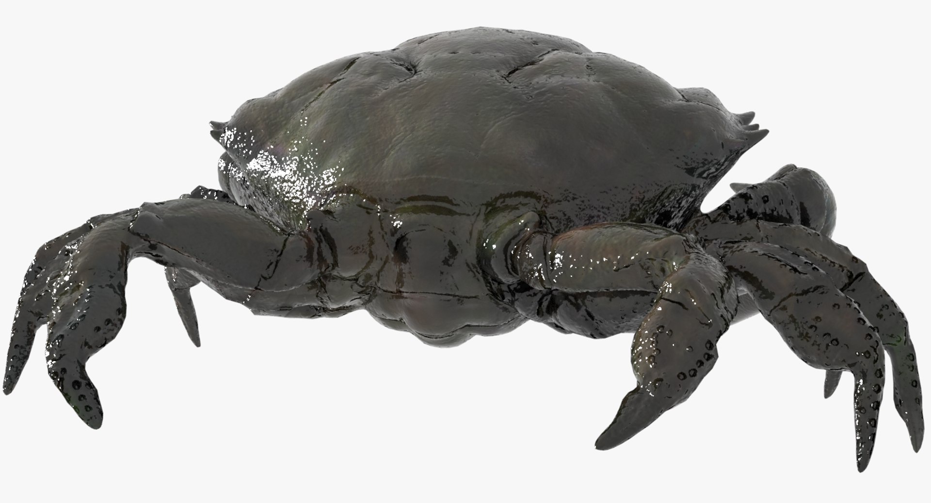 3D Model King Crab - TurboSquid 1246104