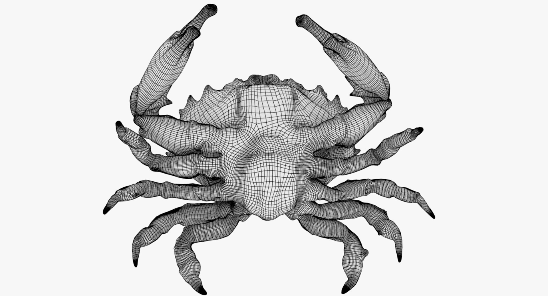 3D Model King Crab - TurboSquid 1246104