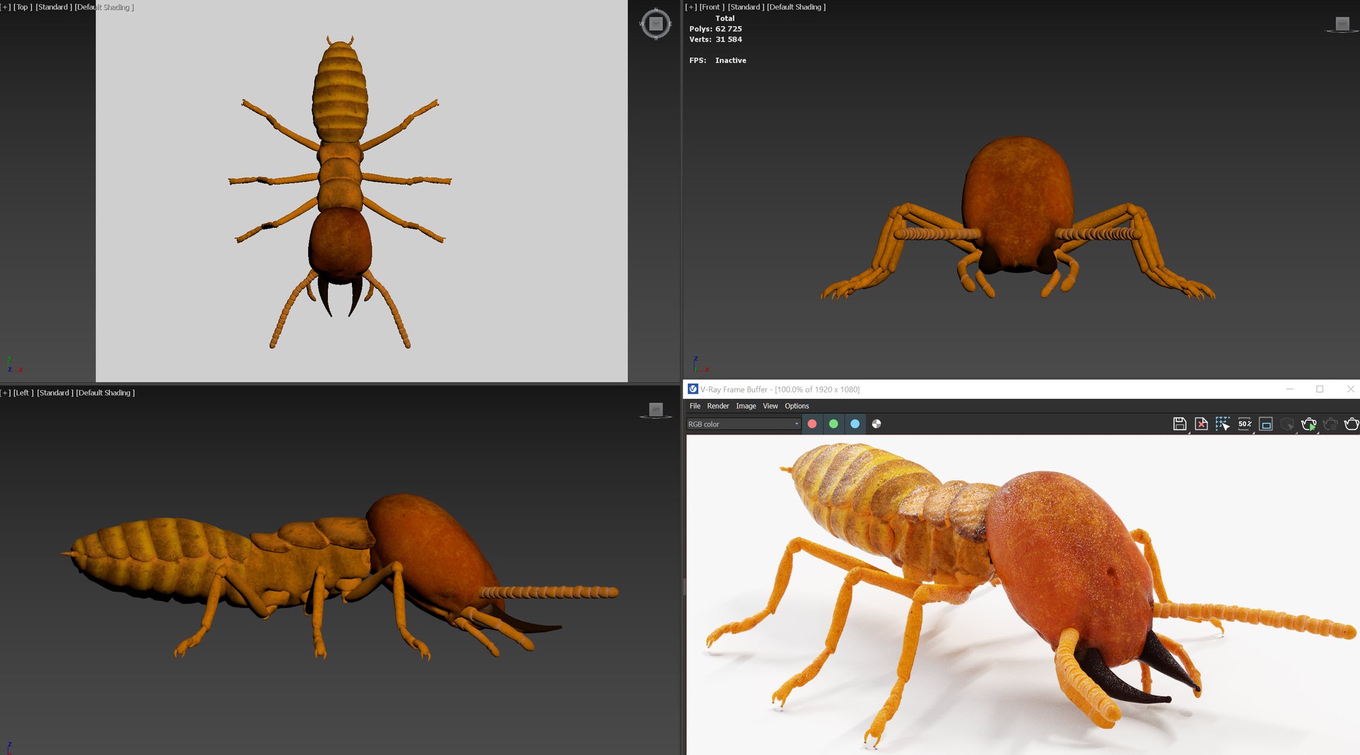 Termite Static 3D Model - TurboSquid 1967836