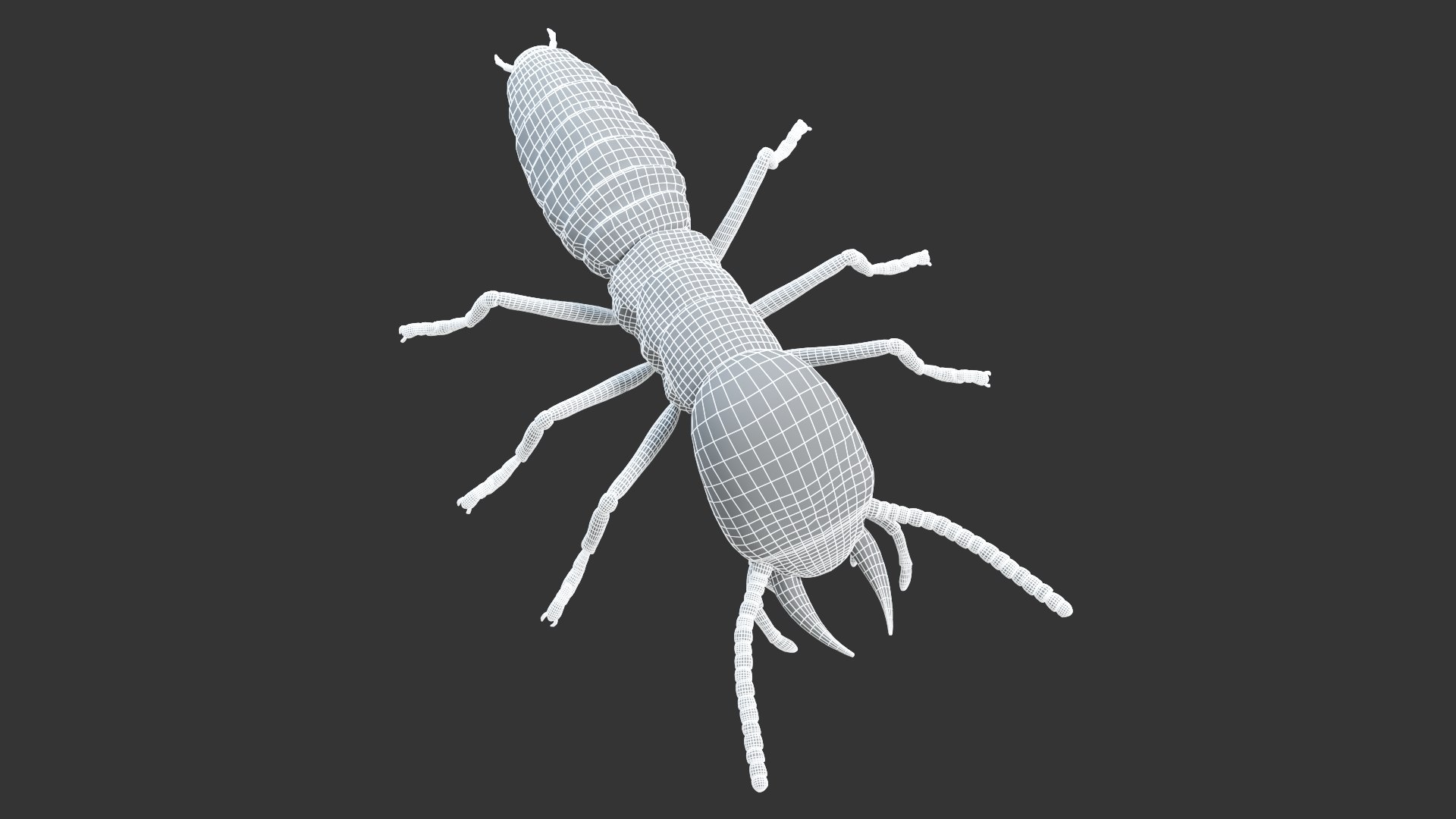 Termite Static 3D Model - TurboSquid 1967836