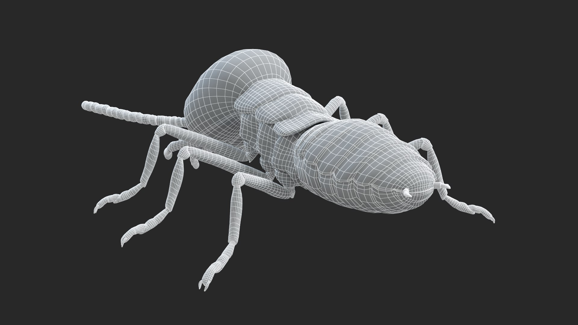 Termite Static 3D Model - TurboSquid 1967836