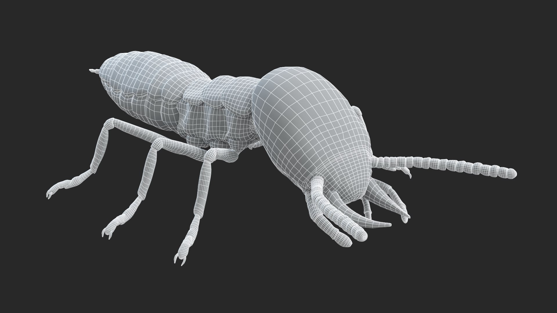 Termite Static 3D Model - TurboSquid 1967836